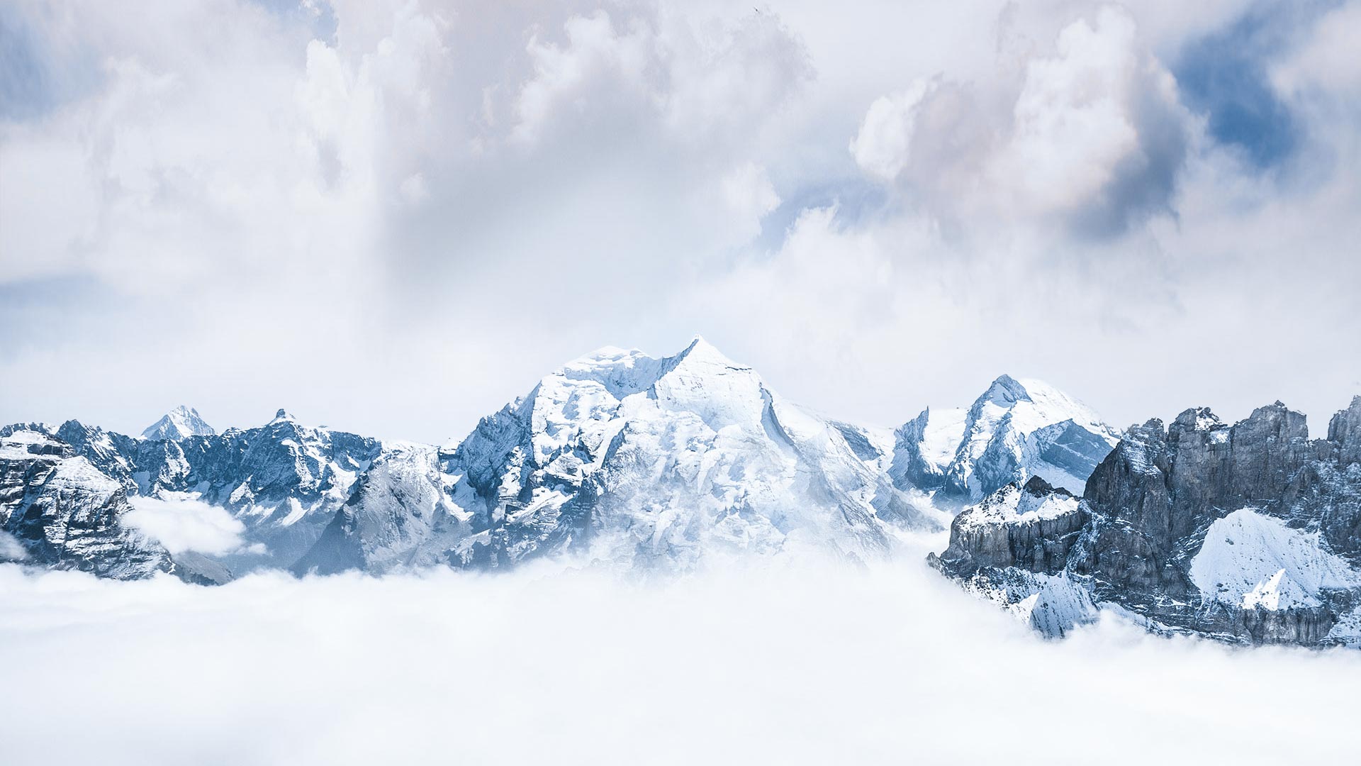 Island Time Chips - Clean Cassava Chips